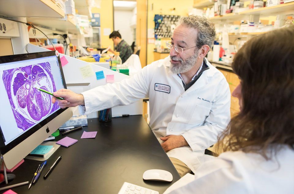 Improving care for young hearts - Give to Medicine